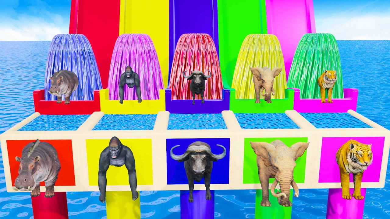 Long Slide Game With Elephant Gorilla Buffalo Hippopotamus Tiger - 3d ...
