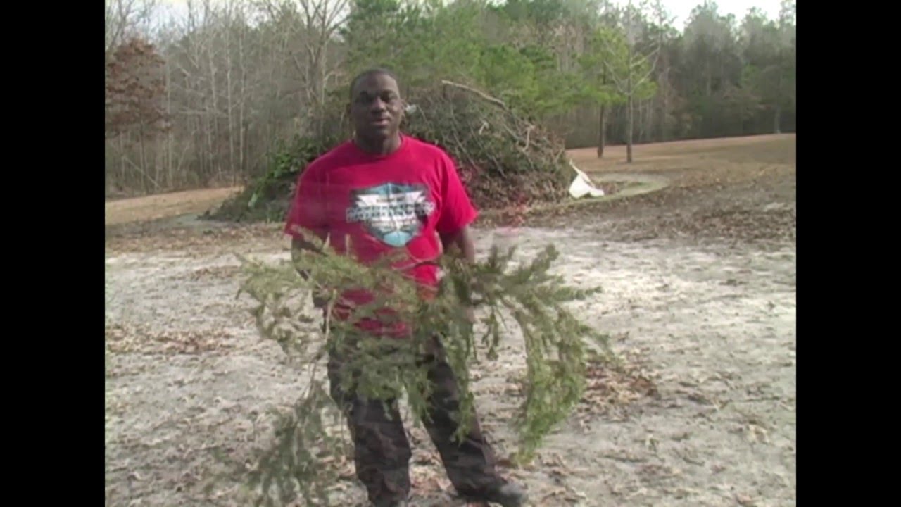 Fire Safety . Pathfinders Honors - YouTube