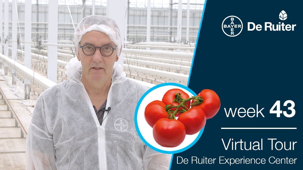 NL_Virtual Tour De Ruiter Experience Center 25 oktober 2024 (+ EN ...