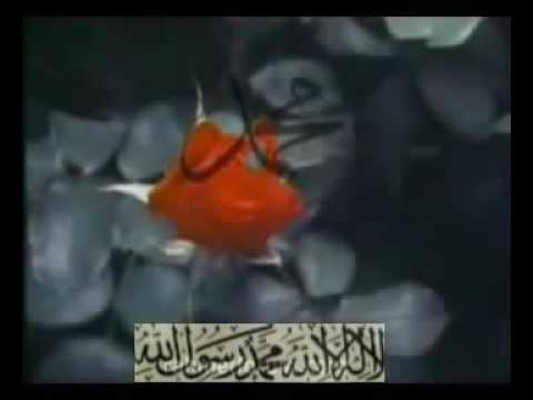 Müziksiz ilahiler 164   Hu diyelim Hu