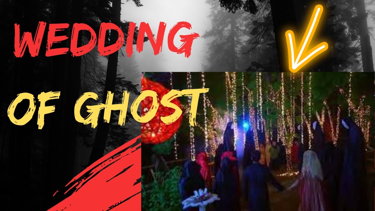 Nora Takkakah: A Melodic Journey of a Kuwaiti Singer's Rise to Stardom ...