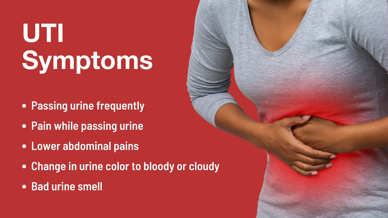Urinary Tract Infections (UTI) - YouTube