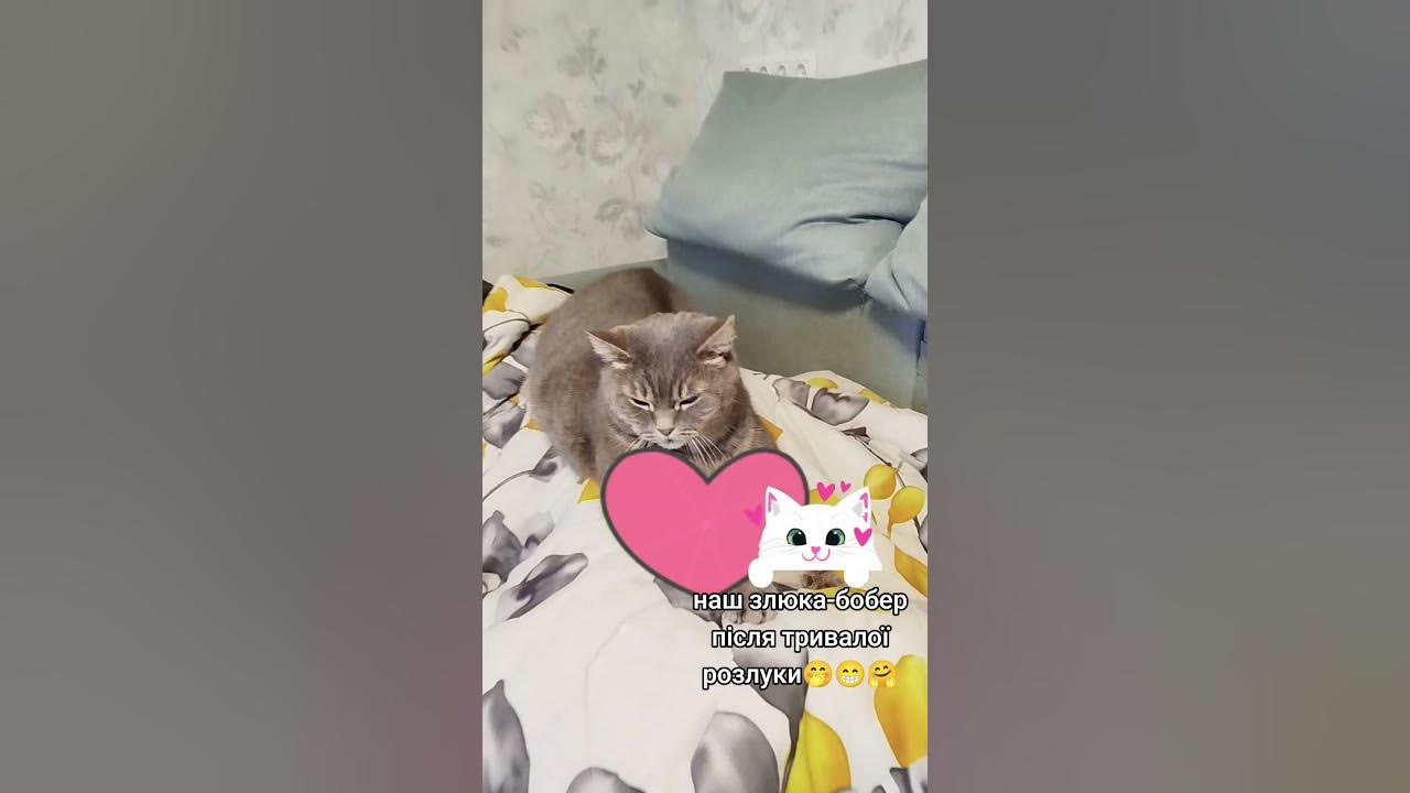 Неділю не бачились🤗🤗🤗 - YouTube