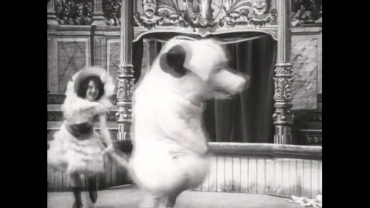 Le Cochon danseur (1907) The Dancing Pig (Pathé) - YouTube