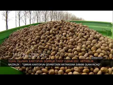 İDXAL OLUNAN KARTOFUN GÖMRÜK TARİF DƏRƏCƏSİ  ARTIRILIB