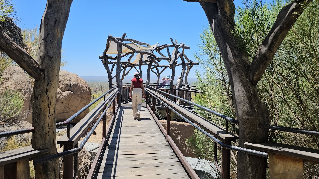 Arizona-Sonora Desert Museum | Cave | Minerals | Stingray touch | - YouTube