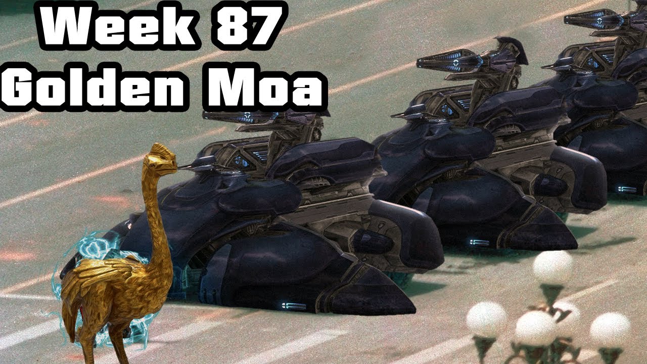 (WEEK 87) ALL Halo 3 Golden Moa locations [Fast & Easy] - YouTube