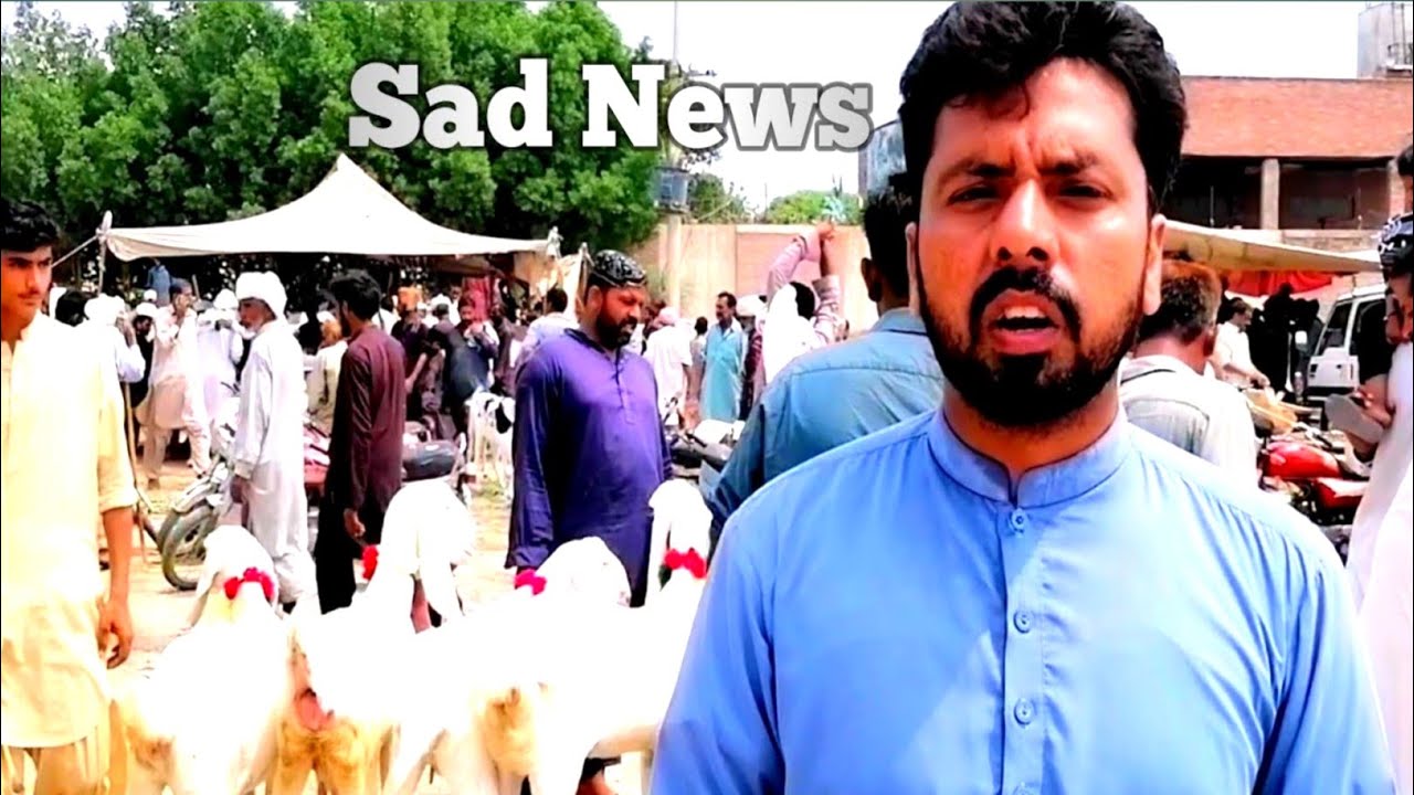 Pakistan Bakra Mandi| Bakra Eid & Animals Prices Qurbani Ka Janwar🥰🥰 ...