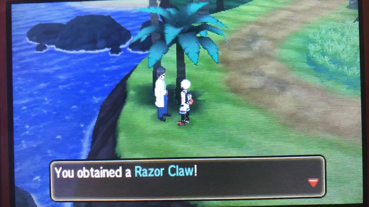 Pokemon Ultra Sun & Moon- Easy way to get razor claw - YouTube