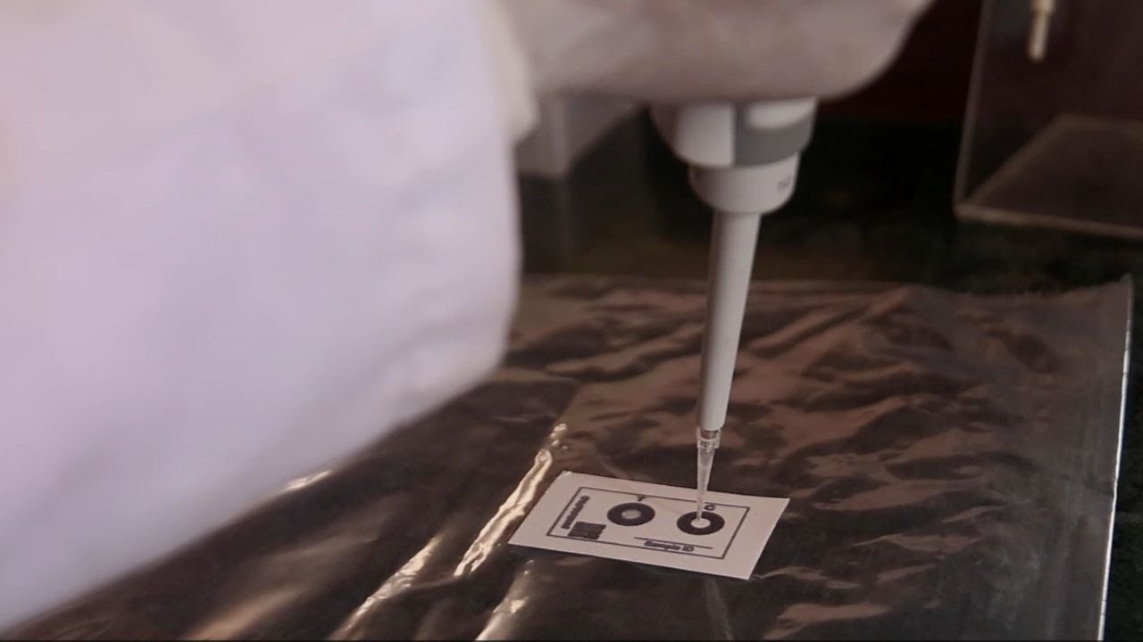 WATCH: Affordable paper devices can be a simple solution for better ...