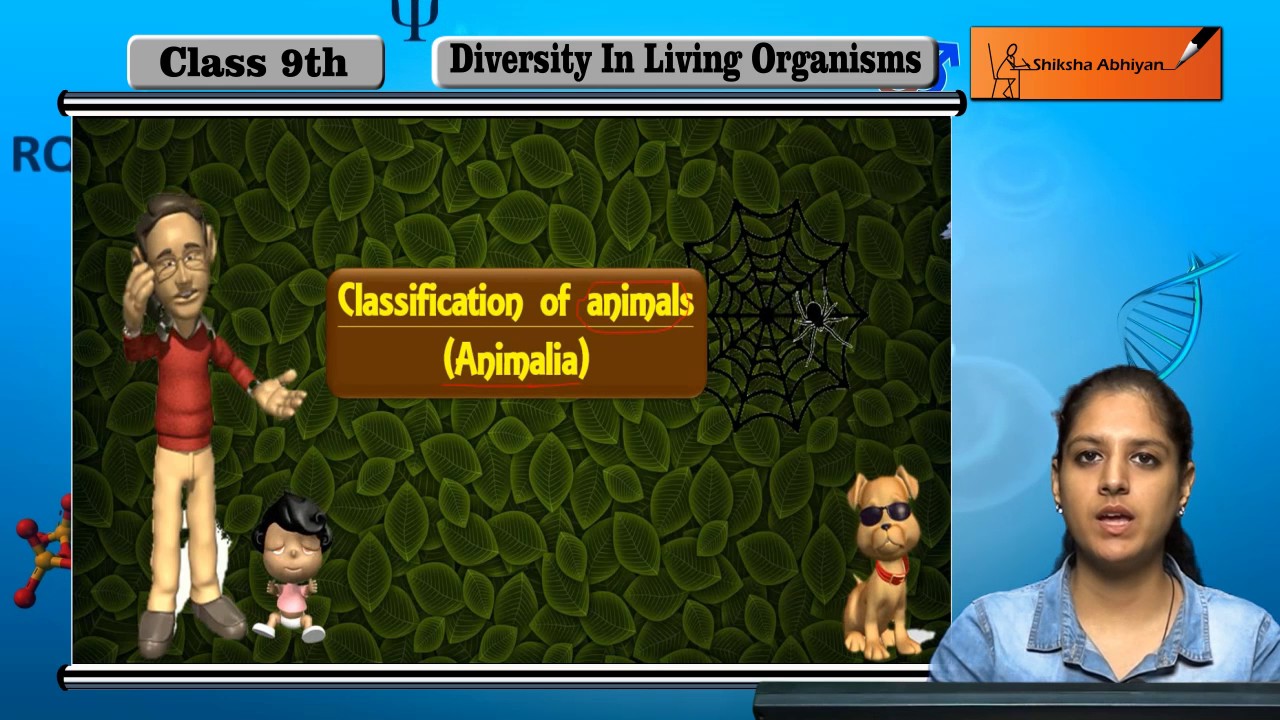 Classification of Animals Animalia Diagram : CBSE Class 9 Biology - YouTube