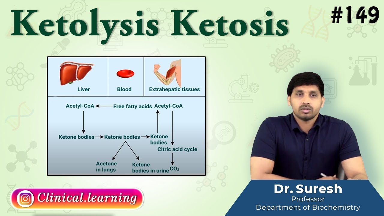 149. Ketolysis Ketosis - YouTube