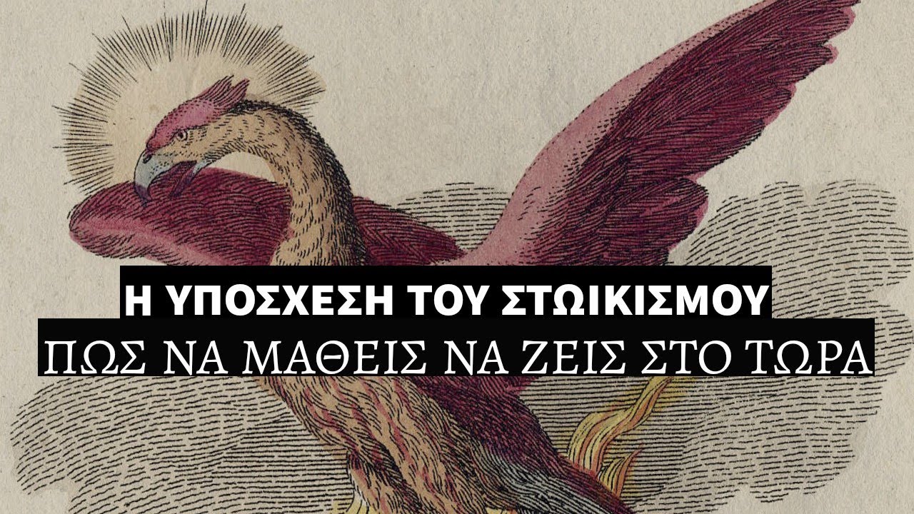 Η Υπόσχεση του Στωικισμού για μεταμόρφωση του ανθρώπου │ Ζήσε τη Στιγμή ...