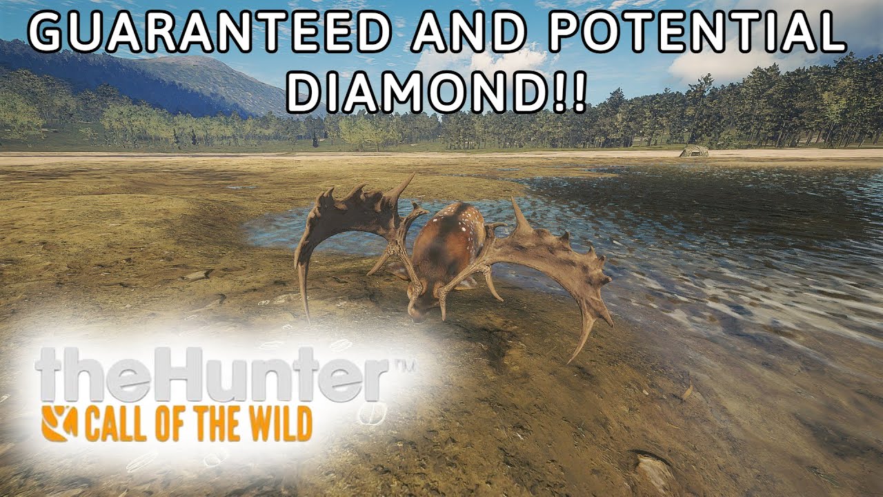 SHOOTING a DIAMOND and DIAMOND POTENTIAL LEVEL 4!! - YouTube