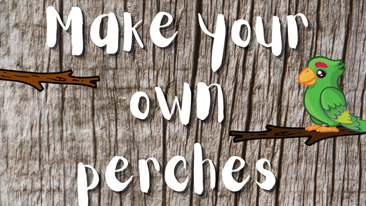 How to Make Your Own Perches - YouTube