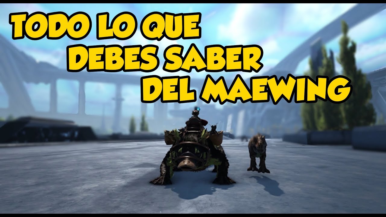 TODO LO QUE DEBES SABER DEL MAEWING! HABILIDADES, COMO CRIAR BEBES ...