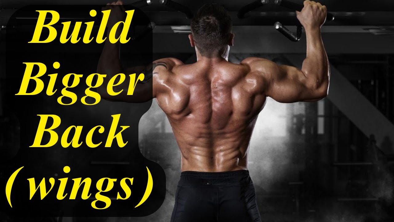 Exercises to Build Bigger Wings at Gym Workout. - YouTube