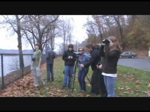 Ashland Hawk Watch and Conowingo Dam - YouTube