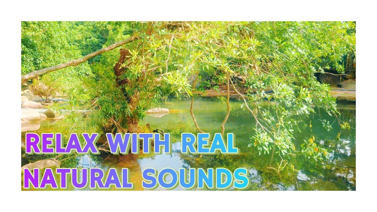 ASMR Nature Sounds | Trickling Stream | Lo O Stream | Vietnam Nui Chua ...