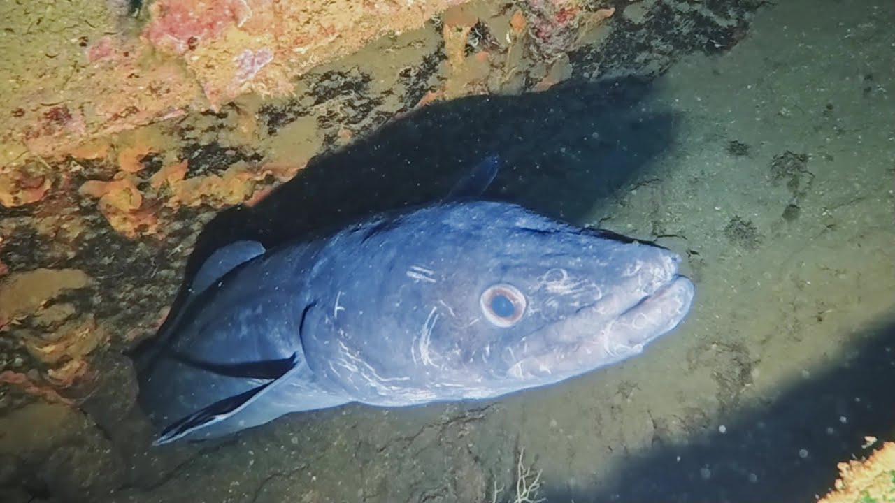 L'Arroyo vers les 2 Frères avec Isabelle le 03 08 2025 - YouTube