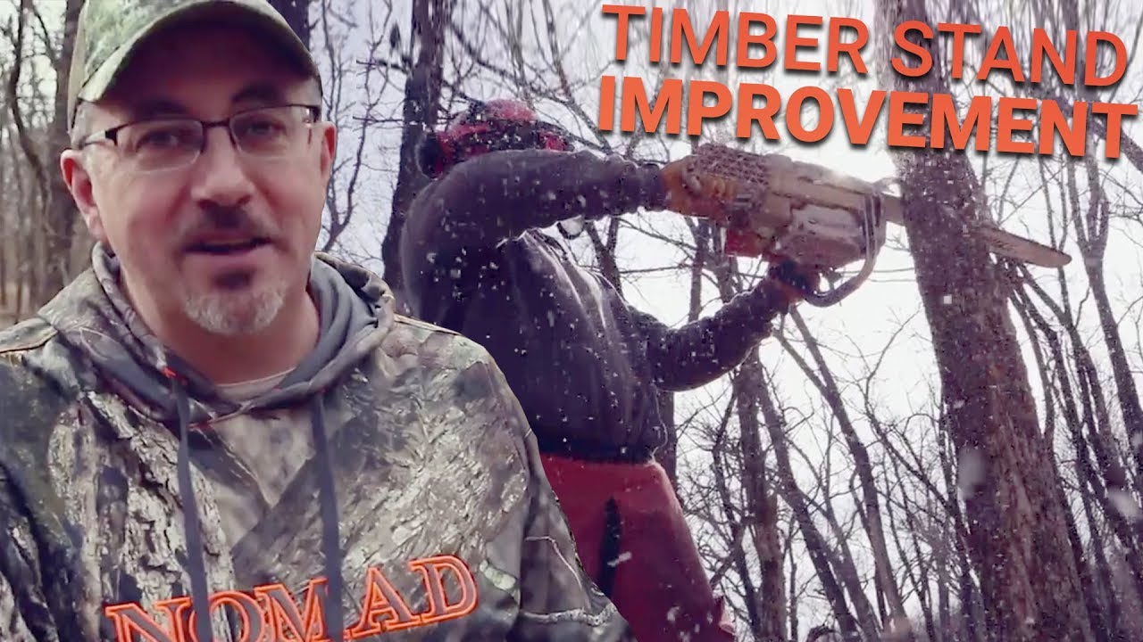 Mark Drury's Tips and Tricks for Timber Stand Improvement! - YouTube