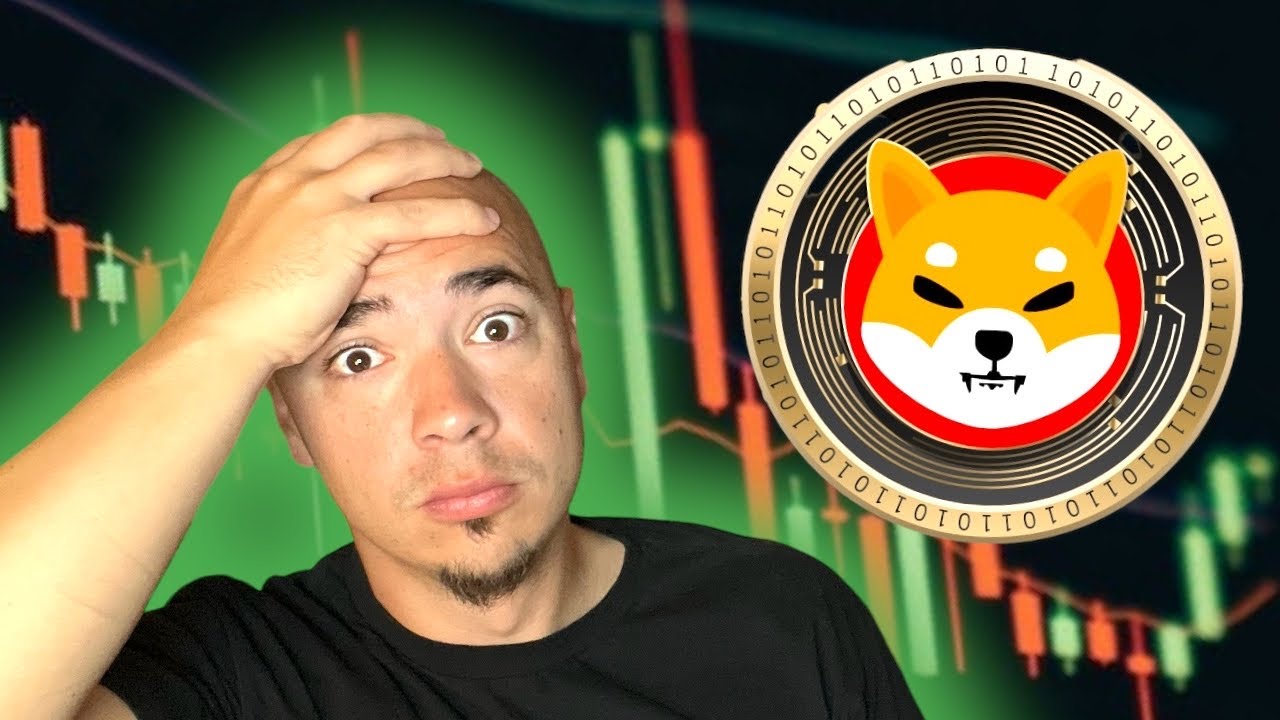 Shiba Inu Ecosystem Unfolding B4 SHIBARIUM! #shibainu #shib - YouTube
