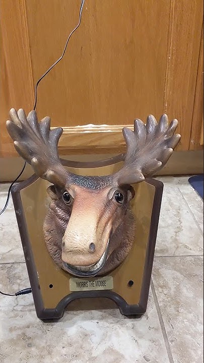 Morris the moose (extremely rare) - YouTube