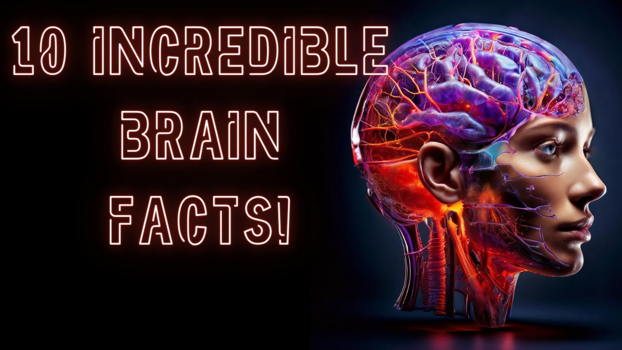 10 Incredible Brain Facts! #brainscience #brainstudy #science # ...