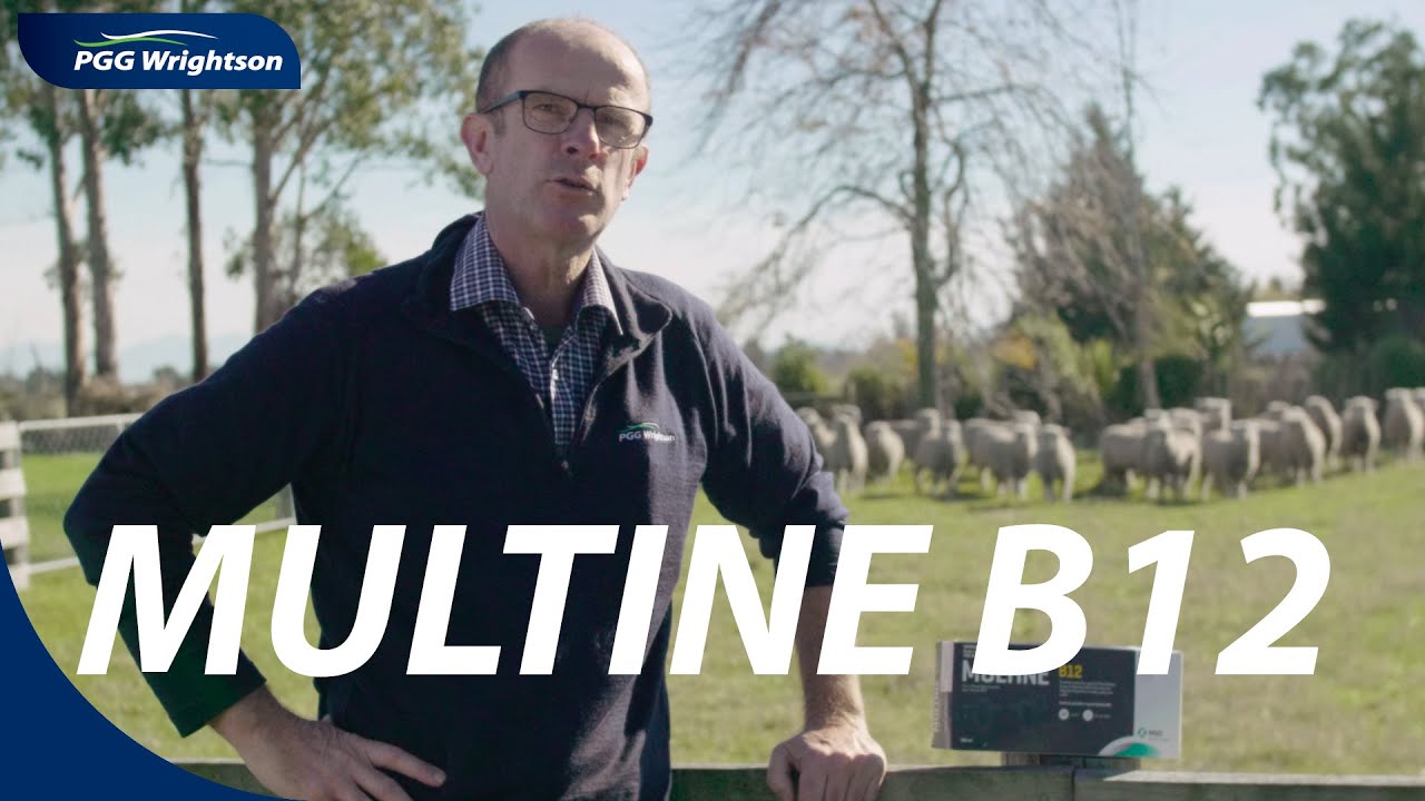 MULTINE B12 | PGG Wrightson Tech Tips - YouTube