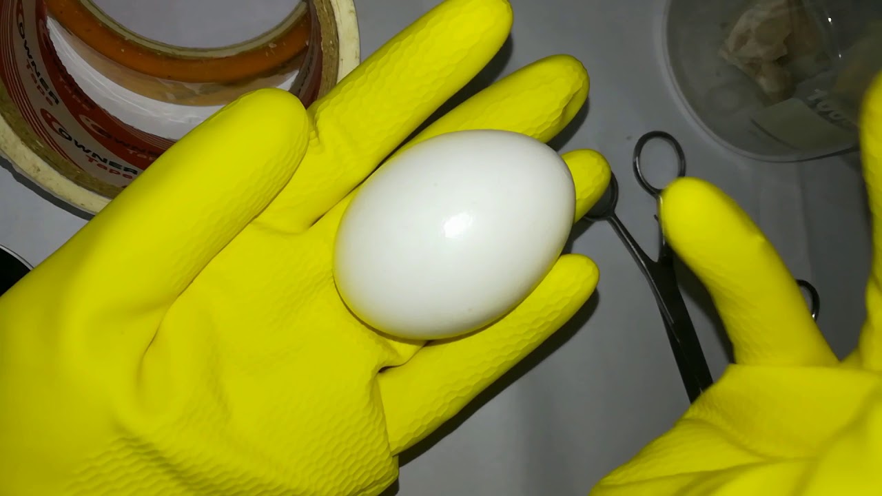 HOW TO MAKE WINDOW IN AN EGG....!!!! - YouTube