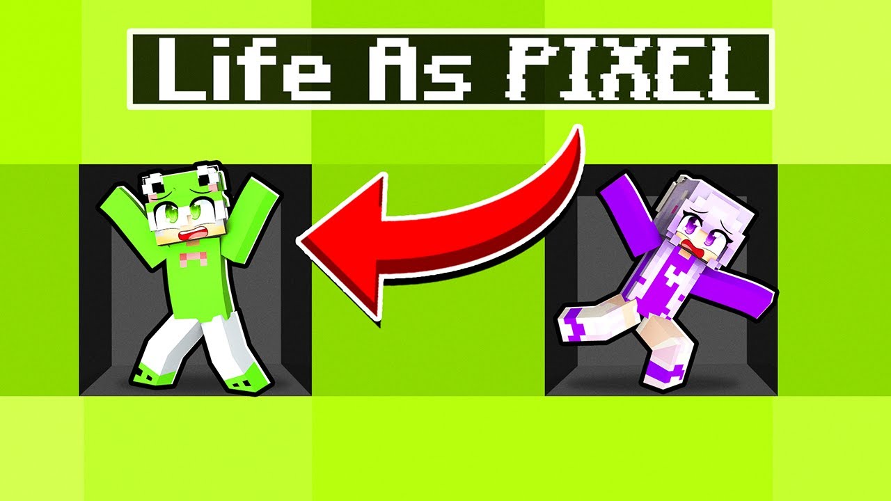 LIFE Inside A Pixel In Minecraft! - YouTube