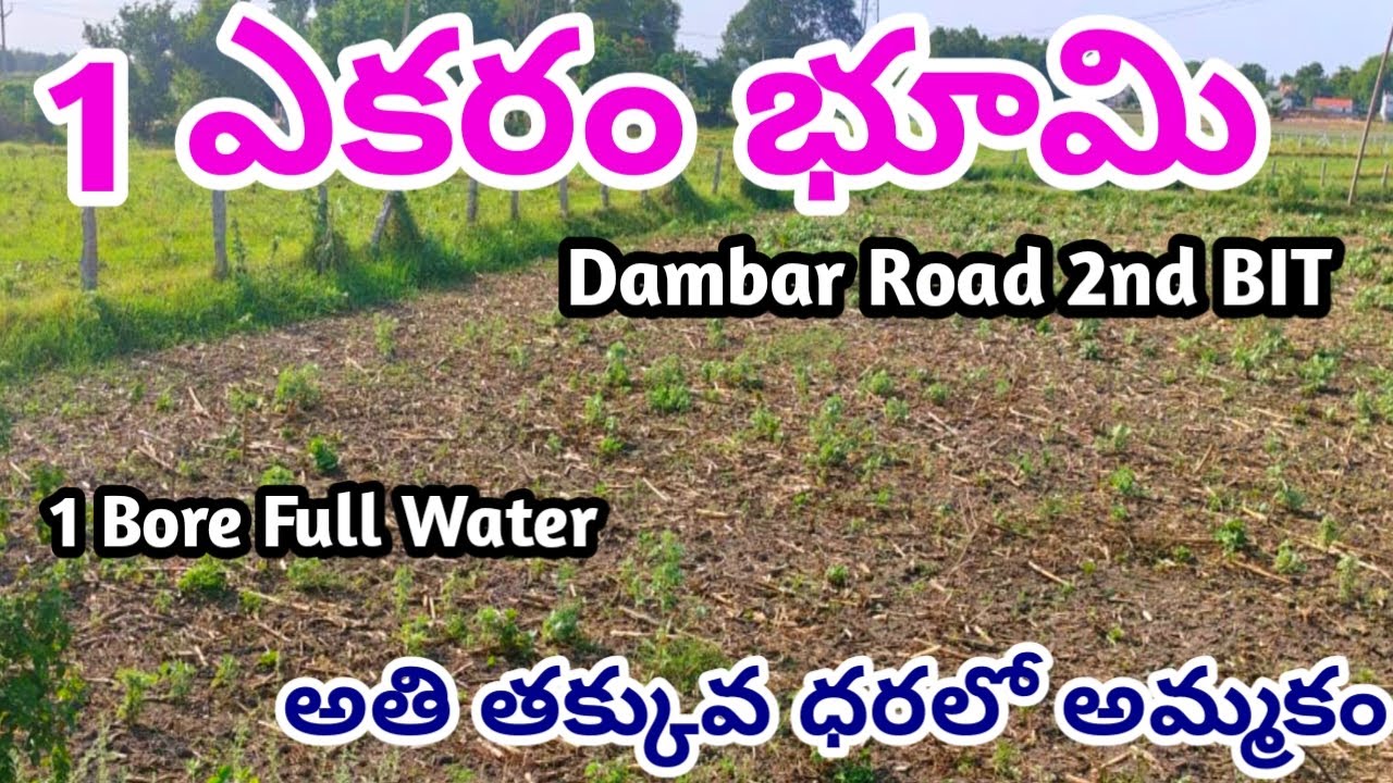 Agriculture Land For Sale | Dambar Road 2nd BIT|#farmlands # ...