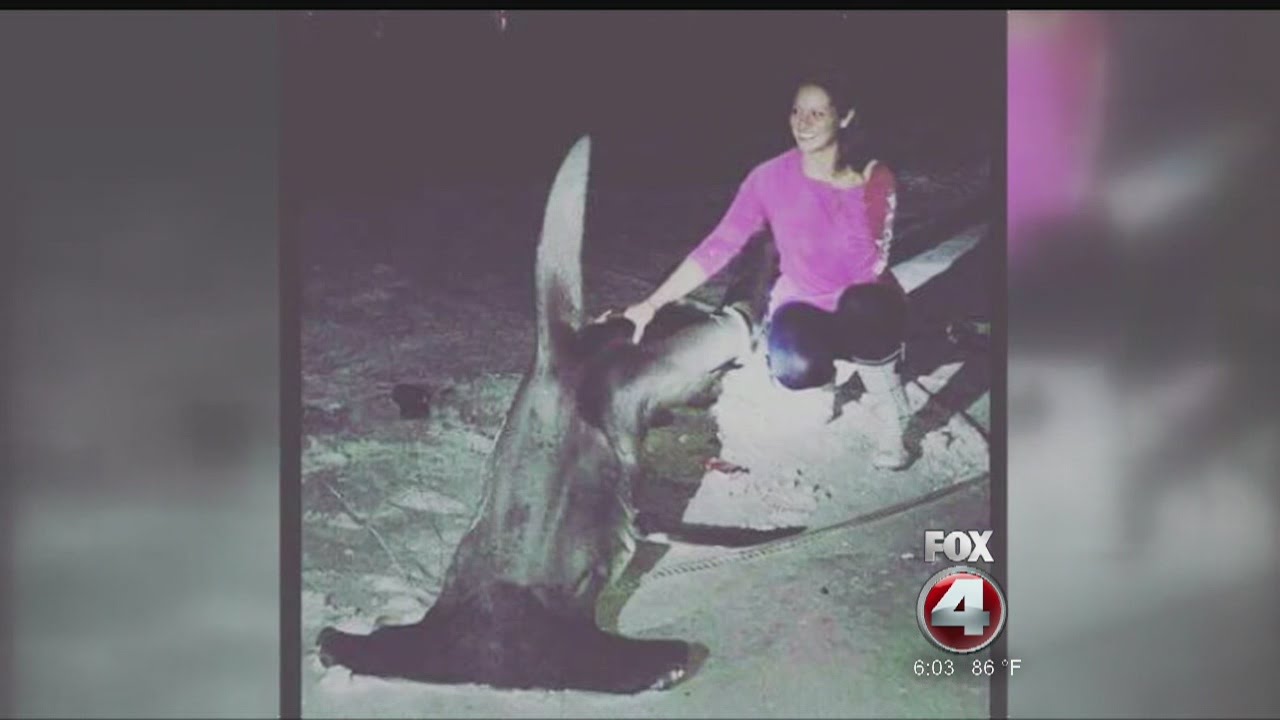 Woman who caught shark that died speaks out - YouTube