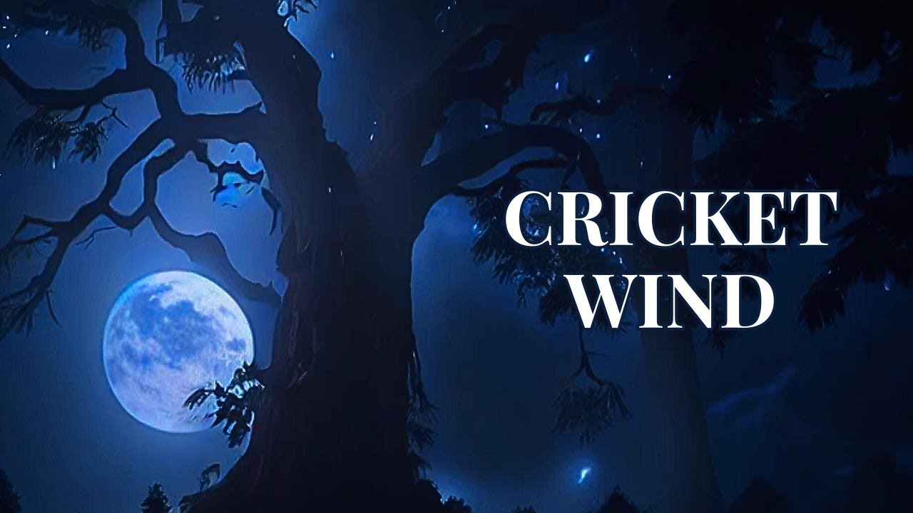 15 min of sleepy nighttime cricket & wind sounds (better with ...