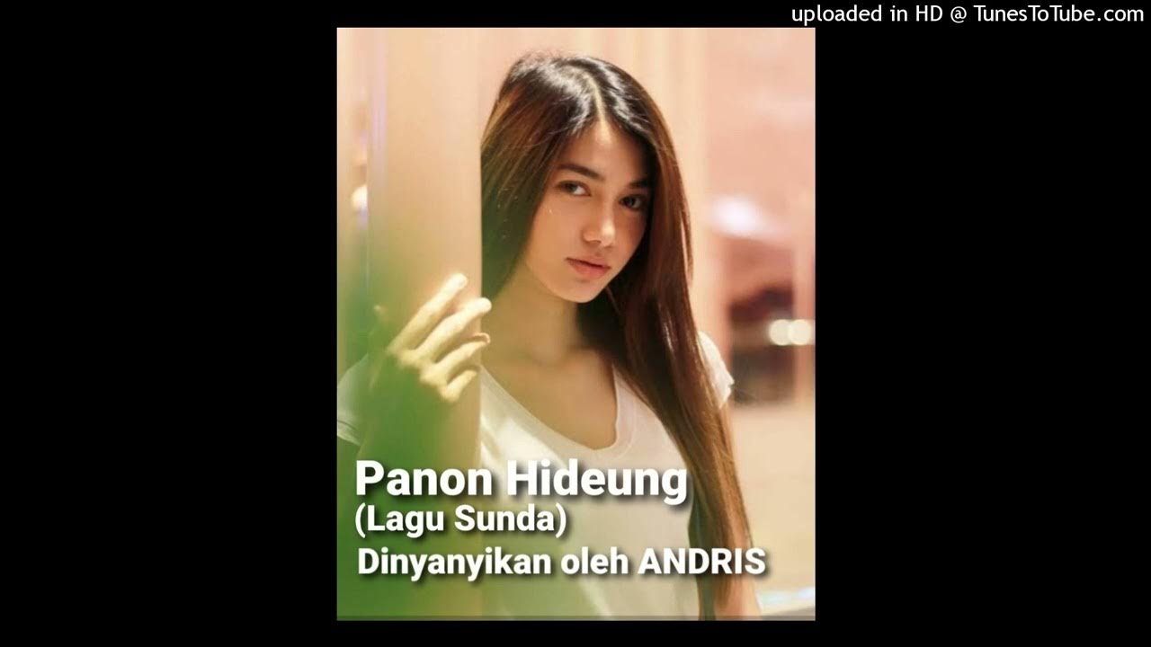 Lagu165; Panon hideung (Lagu Sunda) ; dinyanyikan oleh ANDRIS - YouTube