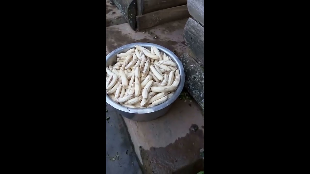 preparing matoke in uganda - YouTube