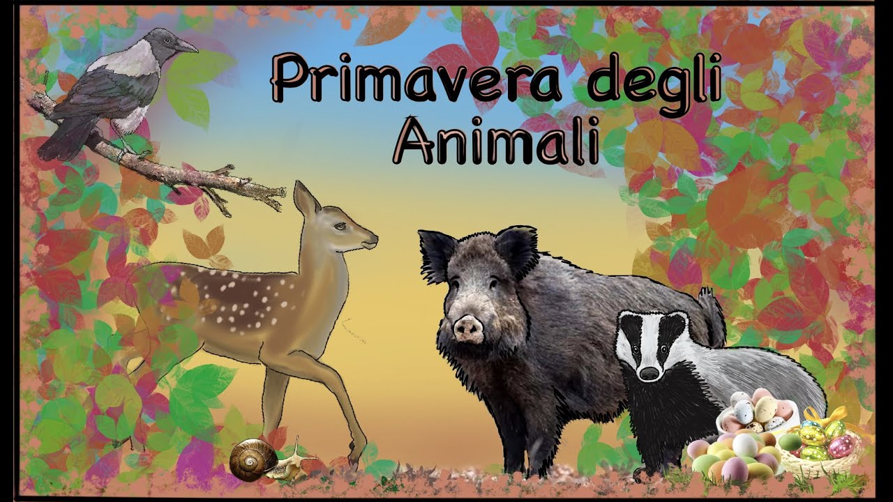 Canzone per bambini Primavera degli animali. Canzone di primavera per l ...