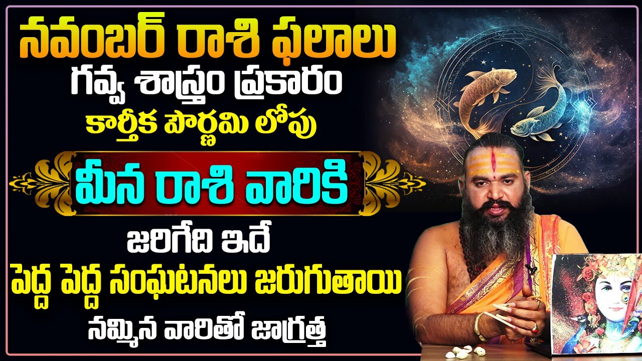 Meena Rasi November 2024 Zodiac Signs | November Rasi Phalalu | Pisces ...
