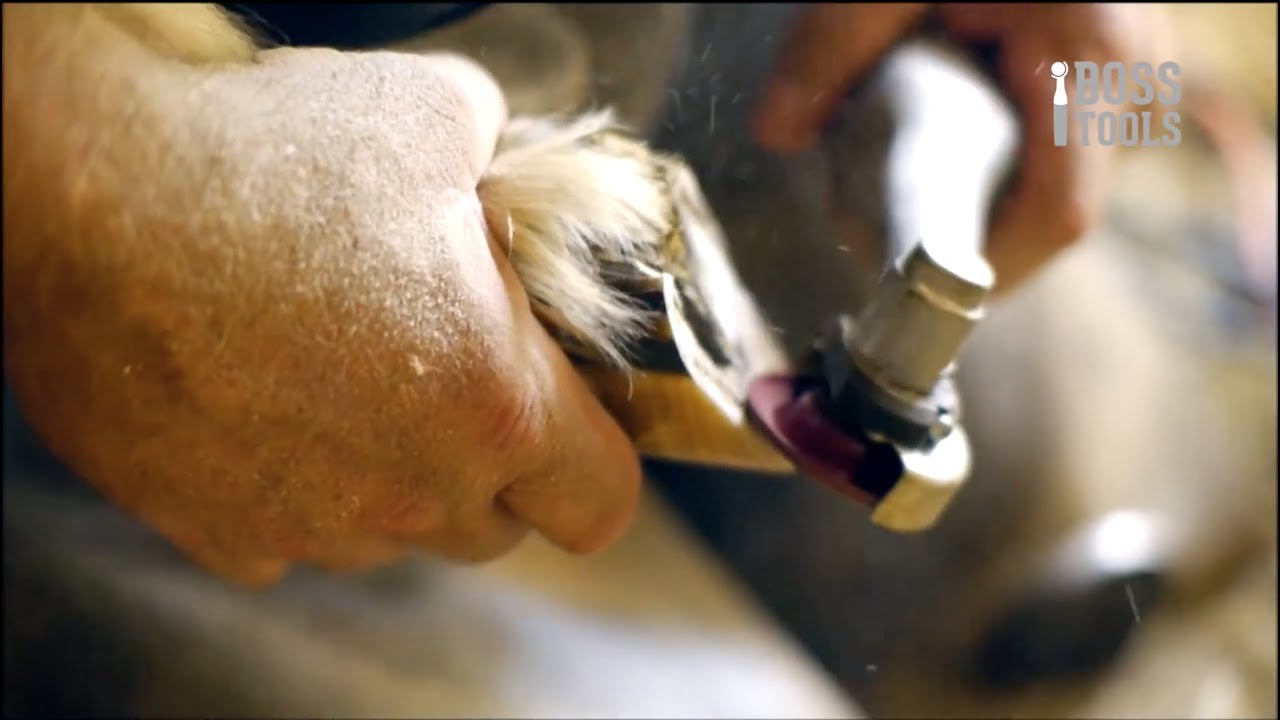 Hoof Boss User Goat Trimming Tip - YouTube