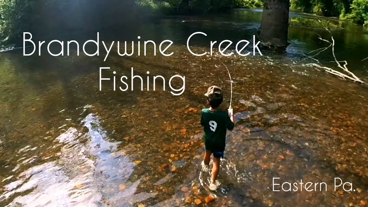 Brandywine Creek fishing - Epic smallmouth action Episode 1 - YouTube