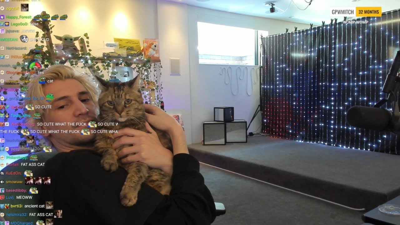 xQc Shows his Cat "Lea" - YouTube