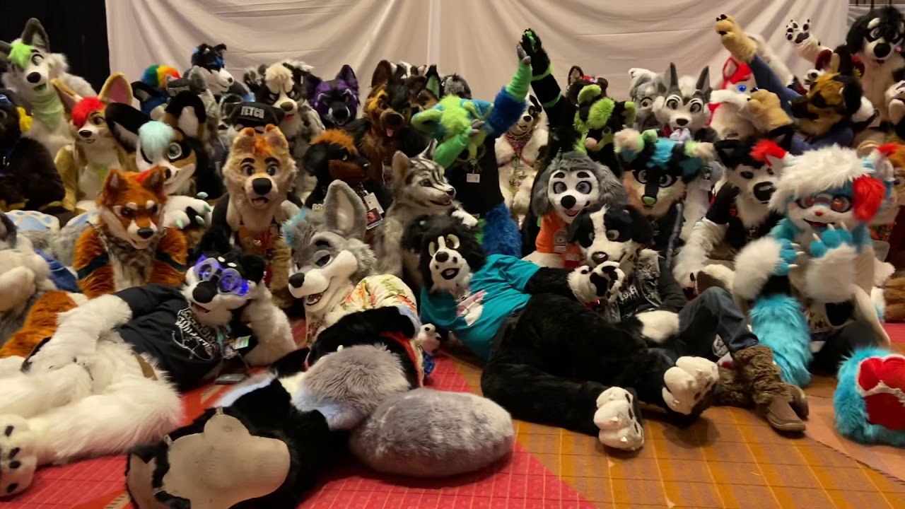 Jib kodi Captures Cooper Tom at MFF 2019! - YouTube