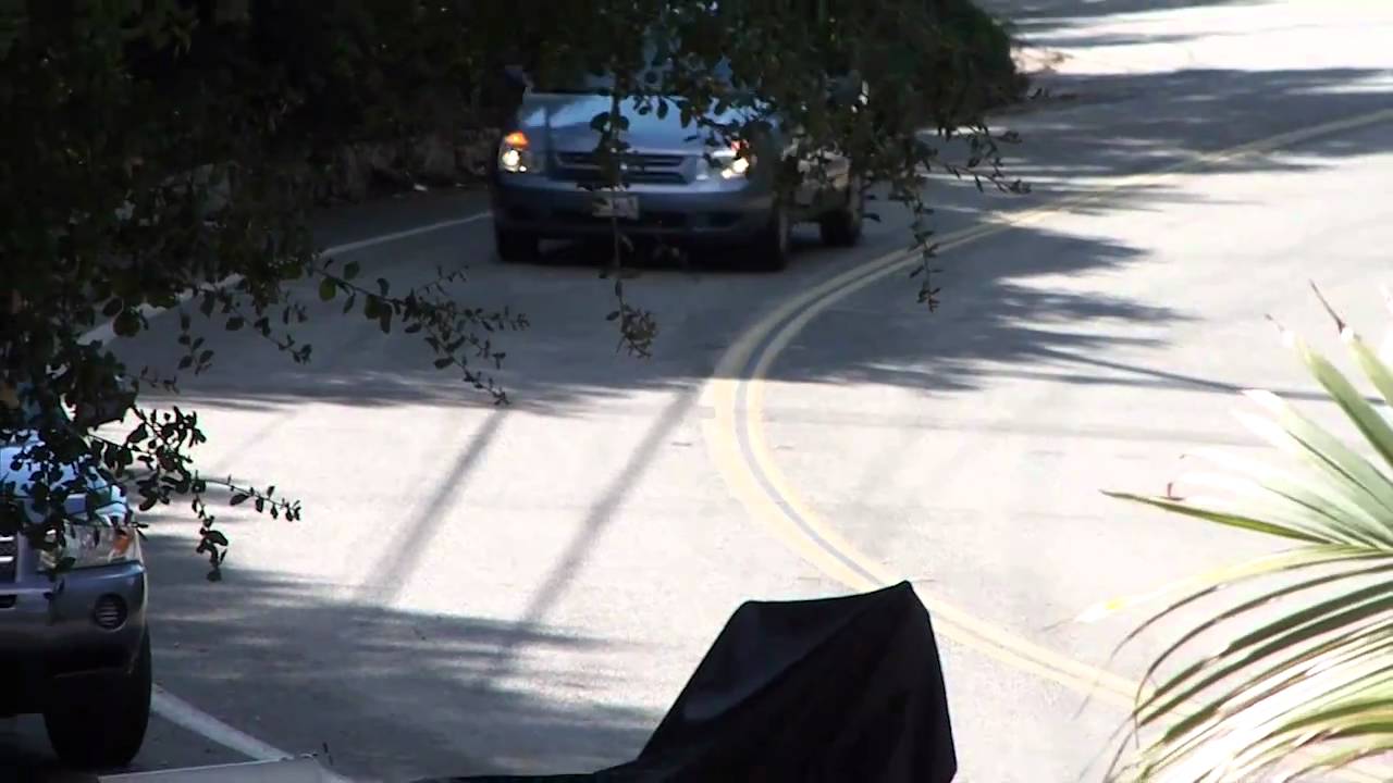 Squirrel Vs. Car - YouTube