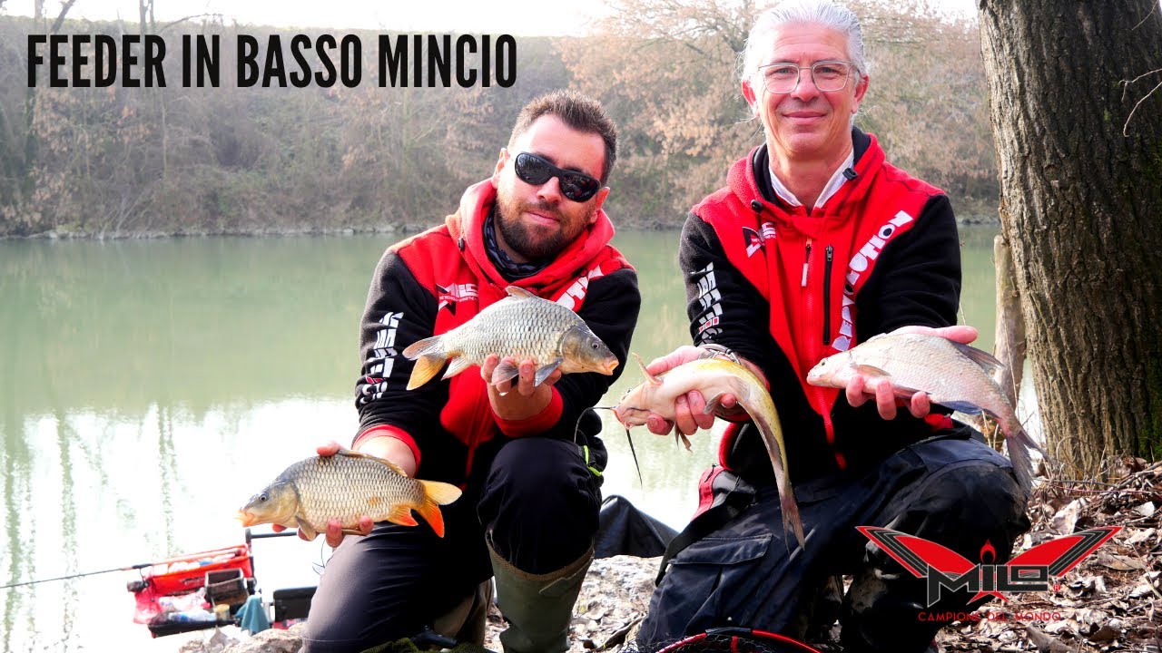 MILO FEEDER COLLECTION - Feeder In Basso Mincio - YouTube