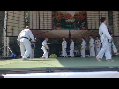 2016-05-28 Exhibice Taekwondo:  Budo na hradě (SKTKD)