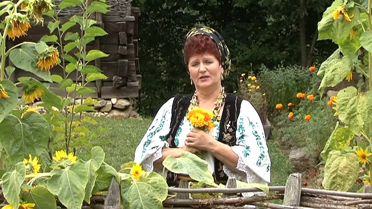 Veta Biris - Tata, eu nu stiu de ce - DVD - Cine-o-mpartat dragostea ...