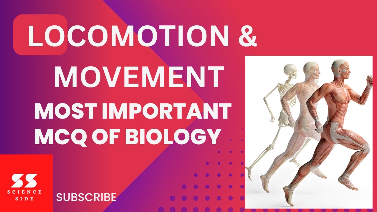 Important MCQ of |Locomotion & Movement | class11th chapter 20, Biology ...