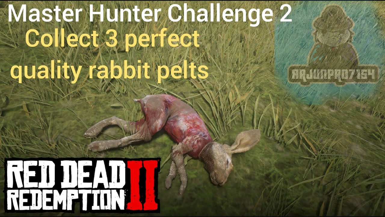 Red Dead Redemption 2 - Master Hunter Challenge 2: Collect 3 perfect ...