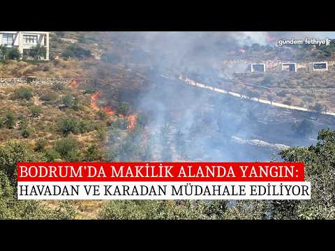 Bodrum’da makilik alanda yangın: Havadan ve karadan müdahale ediliyor