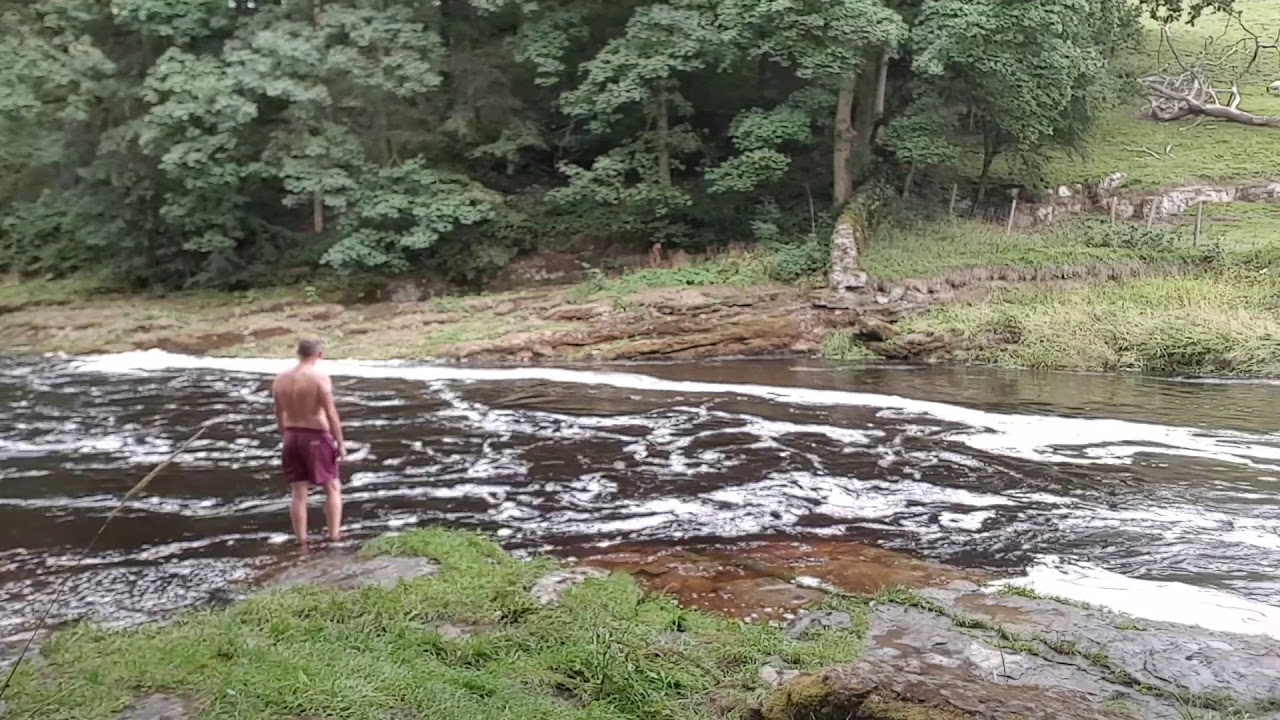 Wild Swimming River Ribble - YouTube